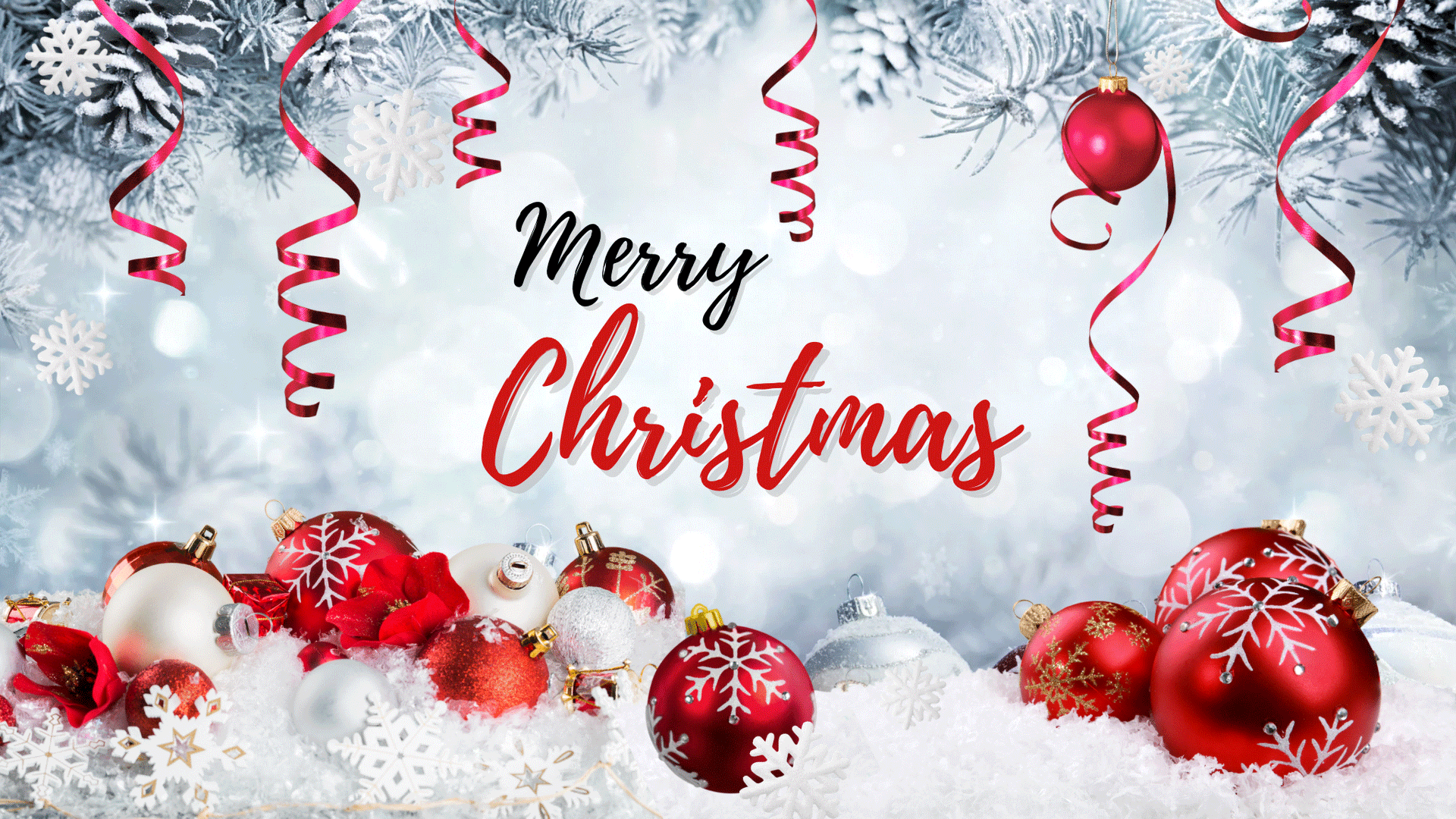 Tooka Florist | Same-Day Flower Delivery Across Metro Vancouver